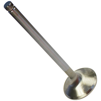 Chev LS1 Stainless Steel Racing Valves-Competition Products